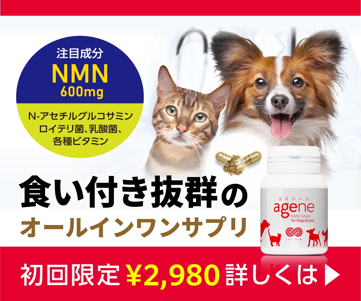 agene（エイジーン）ペットサプリ詳細 | ポイ活・ポイントサイトはポイントタウン